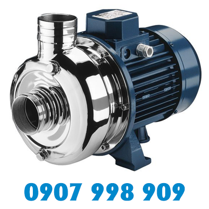 Bơm ly tâm cánh hở Ebara DWO 300 (2.2KW) - Máy Bơm Bình Dương