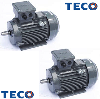 Motor chân đế TECO : AESV-0.5HP-4P - Máy Bơm Bình Dương