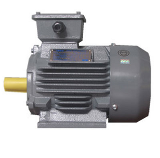 Motor chân đế TECO : AESV-5.5HP-4P - Máy Bơm Bình Dương